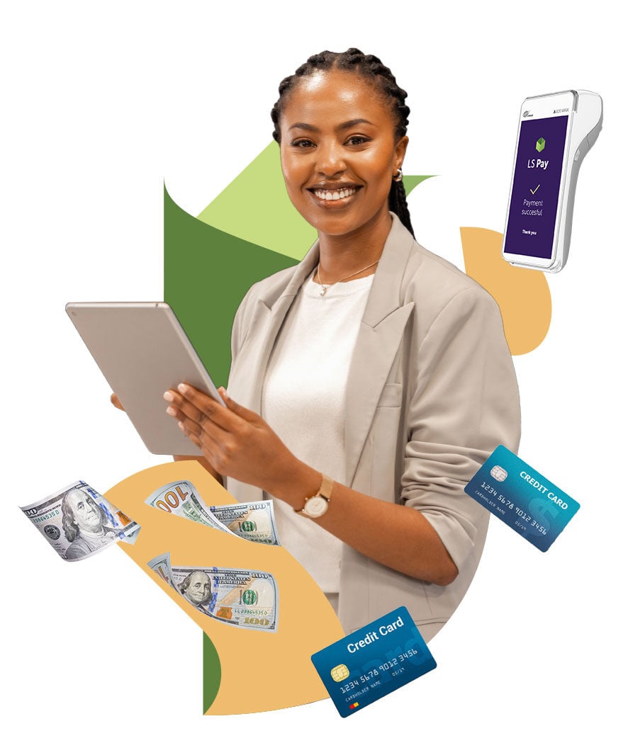 Secure Payments with LS Pay | Microsoft Dynamics 365 Business Central